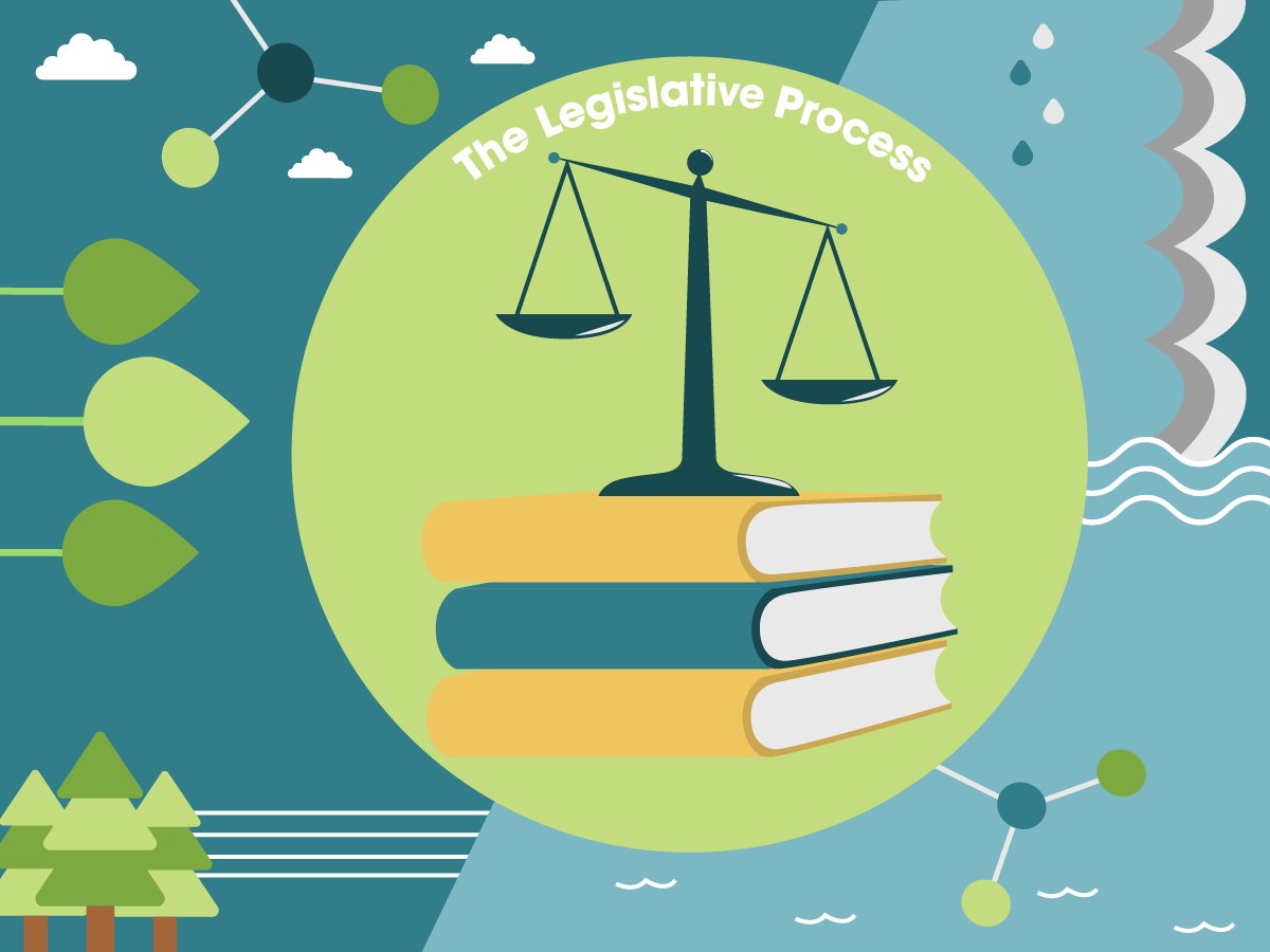 The Legislative Process – The Climate Initiative
