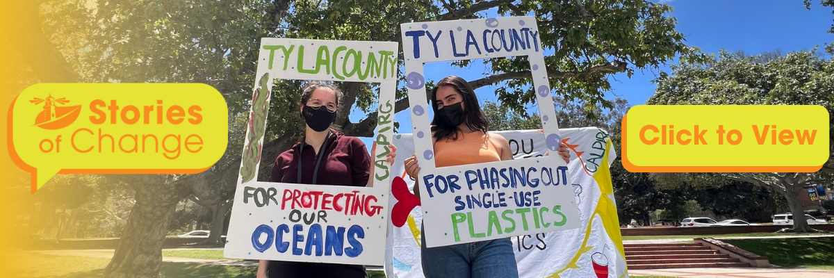 Thank You – The Climate Initiative