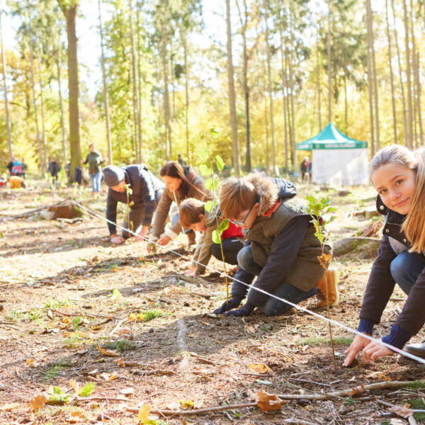 Mitigation and Adaptation Strategies – The Climate Initiative